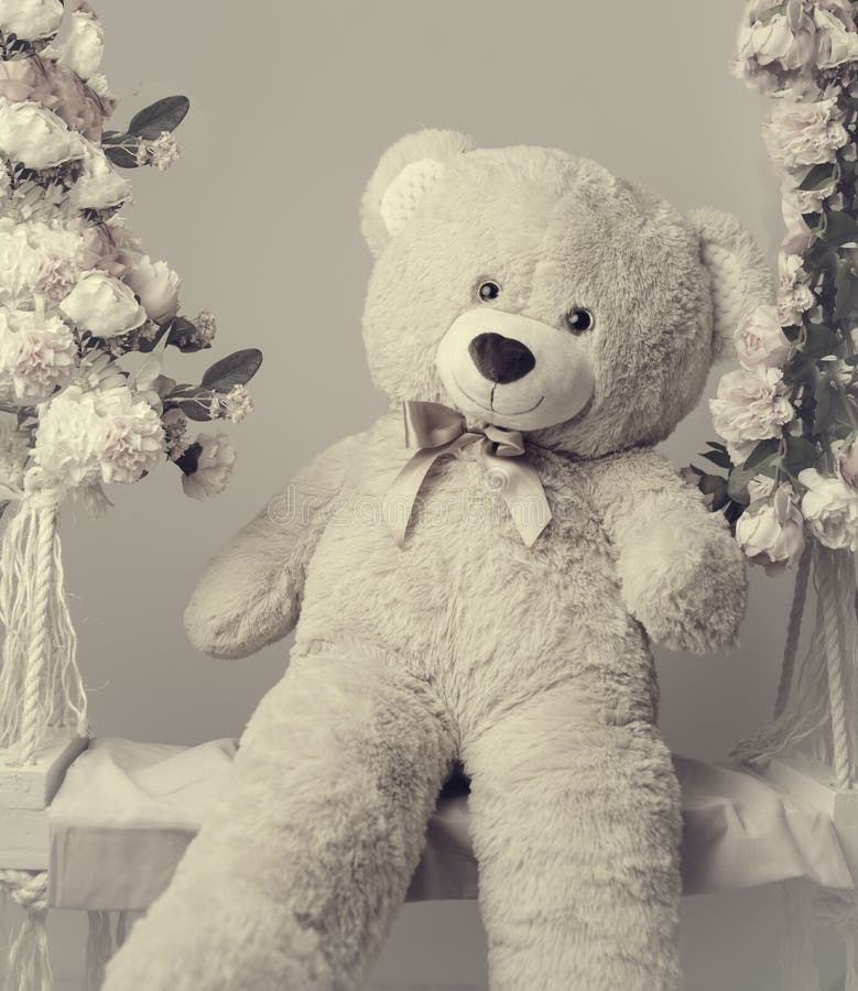 The beautiful teddy bear stock photo. Image of studio - 139742516