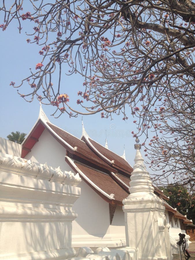 Beautiful temple stock image. Image of travel, asia, plant - 51191975