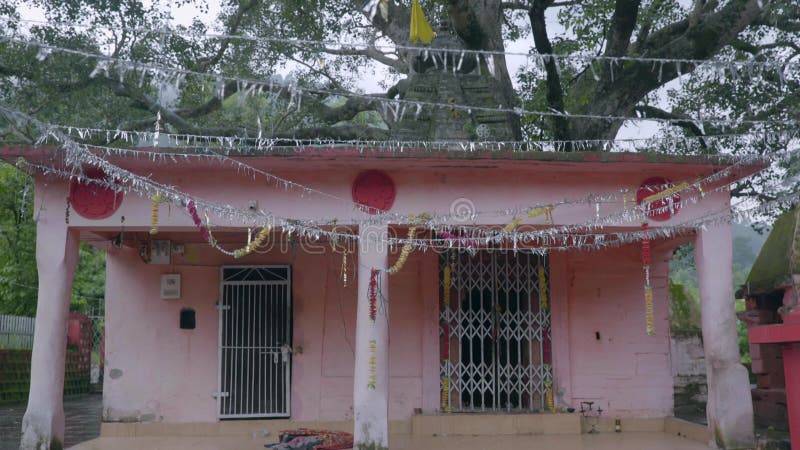 Beautiful Temple Under Peepal Tree Stock Footage - Video of famous ...