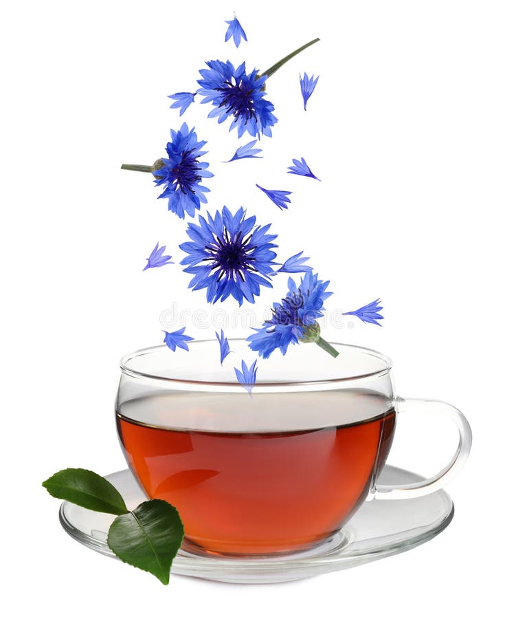 Beautiful Tender Blue Cornflower Petals Falling into Cup of Tea on ...