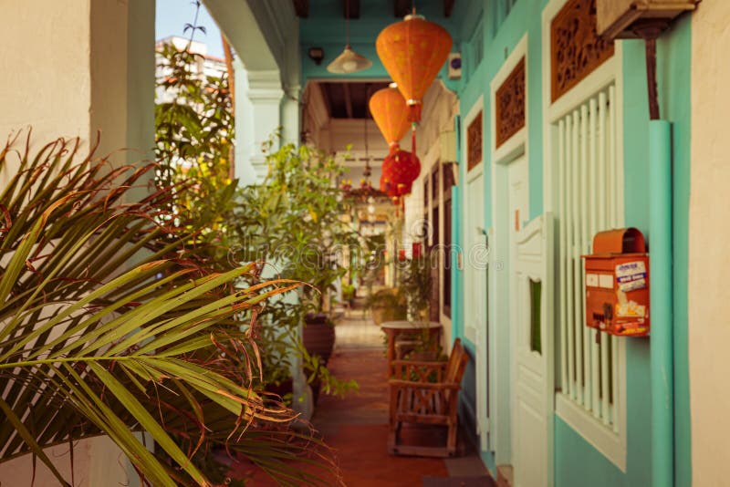 Beautiful Terrace of the Blue Building with Different Decorative Plants ...