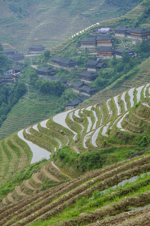 The Beautiful Terrace Fields Scenery in Spring Stock Photo - Image of ...