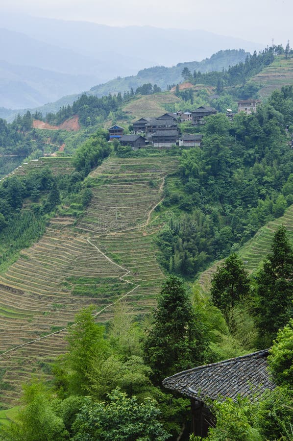 The Beautiful Terrace Fields Scenery in Spring Stock Image - Image of ...