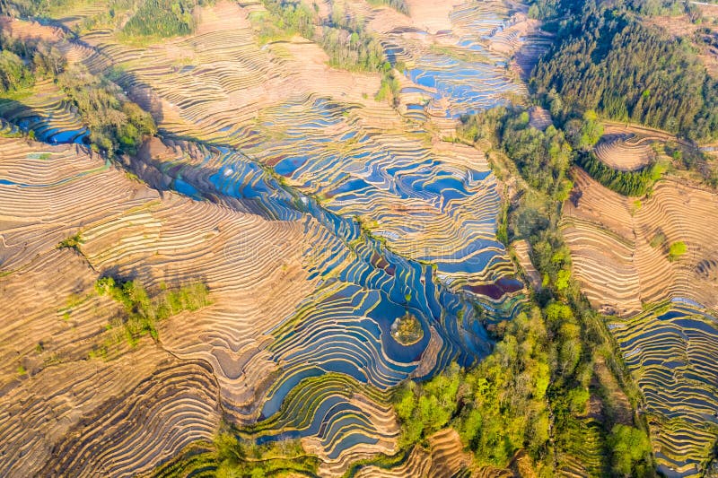 Beautiful Terraced Fields Scenery Stock Photo - Image of curves ...