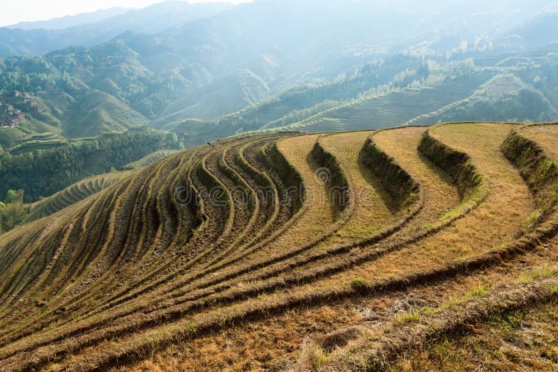 Beautiful Terraced Fields Scenery Stock Photo - Image of curves ...