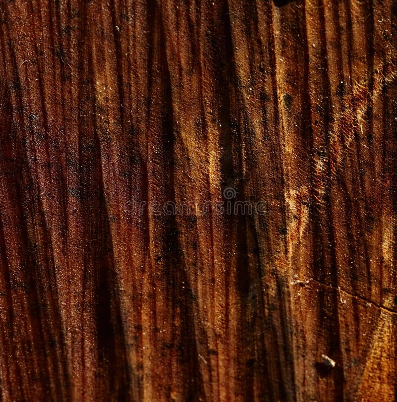 Texture & X22;Apple Tree& X22;. Background Naturale Stock Photo - Image of apple, vegetation ...