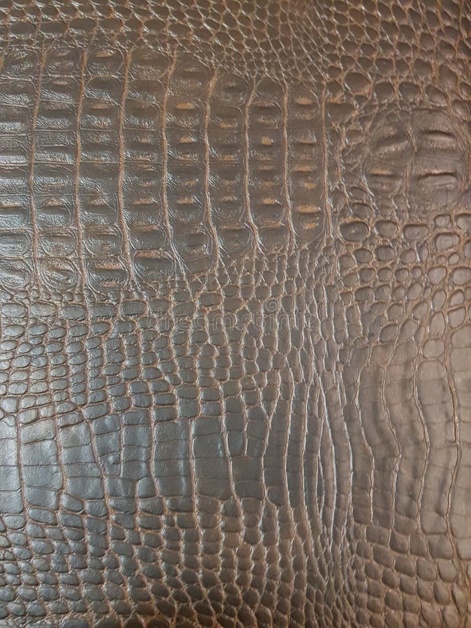 Brown Crocodile Leather Texture Stock Photo - Image of fabric, closeup ...