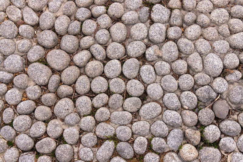 Beautiful Round Stones on the Pavement Editorial Stock Image - Image of ...