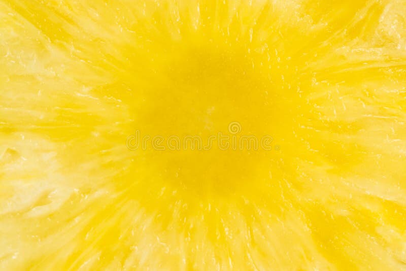 Beautiful Texture Slices of Pineapple Fruit Close-up Stock Photo ...
