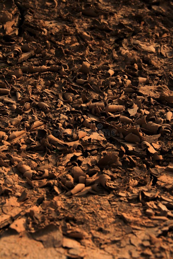 Structure Brown Texture Textural Elements Elements Specific Land ...