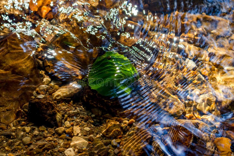 Beautiful Texture of Water Ripples in a Shallow Creek Stock Photo ...