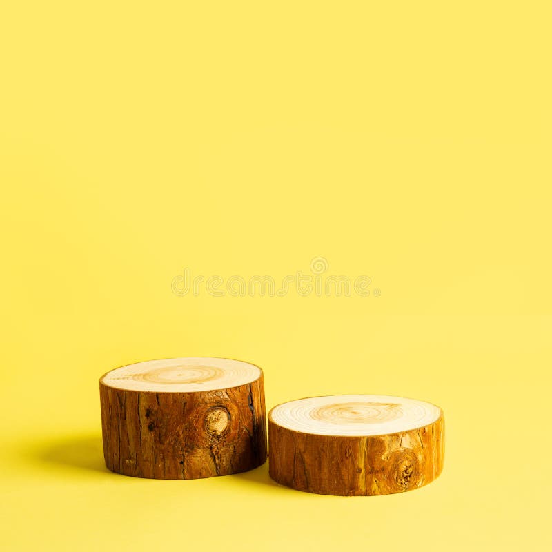 Beautiful Texture Of Wood Tree Stump Or Chopping Product Display Placement In Nature Concepts
