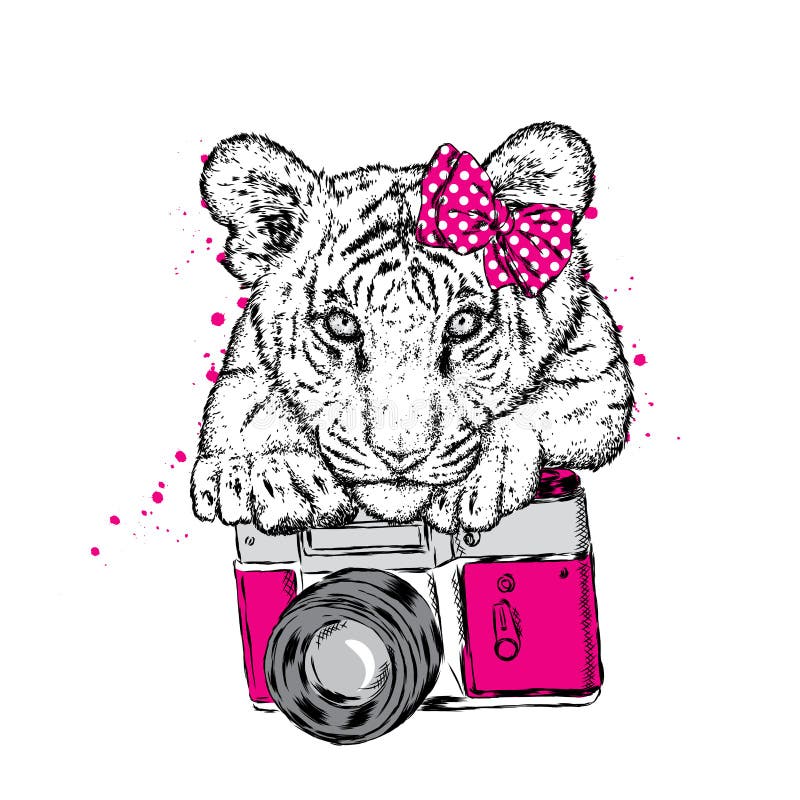 Beautiful Tiger in a Crown. Stock Vector - Illustration of wild, vector ...