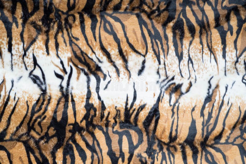 Tiger texture stock image. Image of cheetah, orange, africa - 11788373