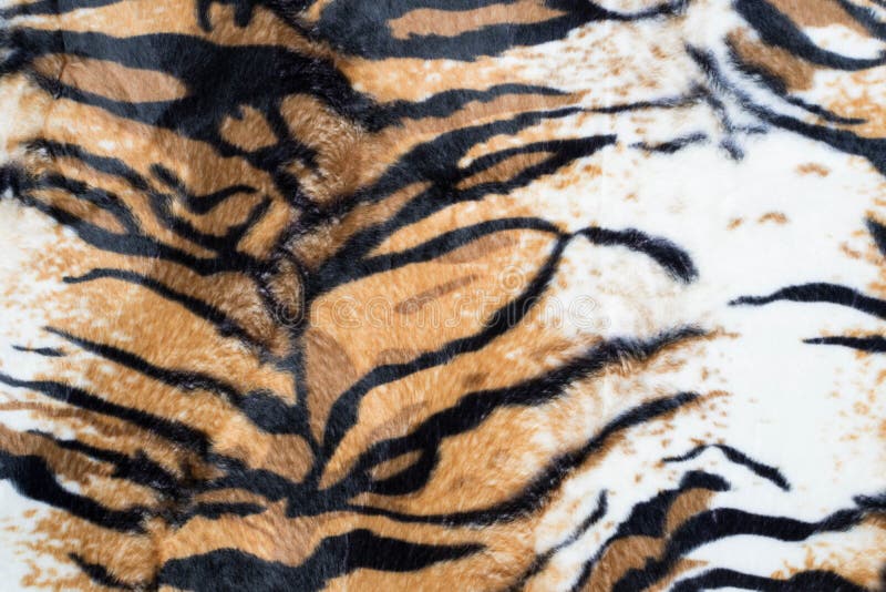 Beautiful tiger texture stock image. Image of brown - 131450179