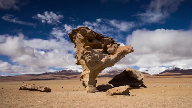 Beautiful Time-lapse in Paradise Stock Video - Video of tropical ...