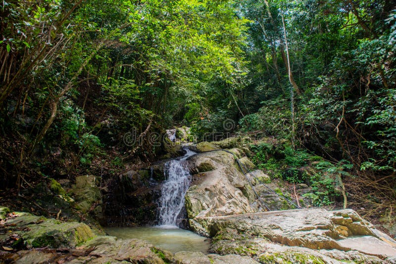 Beautiful Tiny Waterfall in the Tropical Park at the Koh Samui.Thailand ...