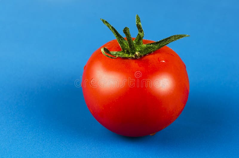 Beautiful Tomato on a Blue Background Stock Image - Image of ingredient ...