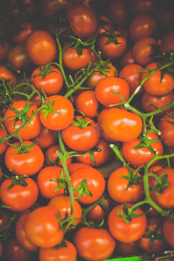 Beautiful tomatoes stock image. Image of clean, nutrient - 31341405