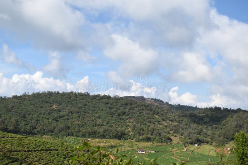 Beautiful Top View of a Hill Stock Image - Image of island, vivid ...