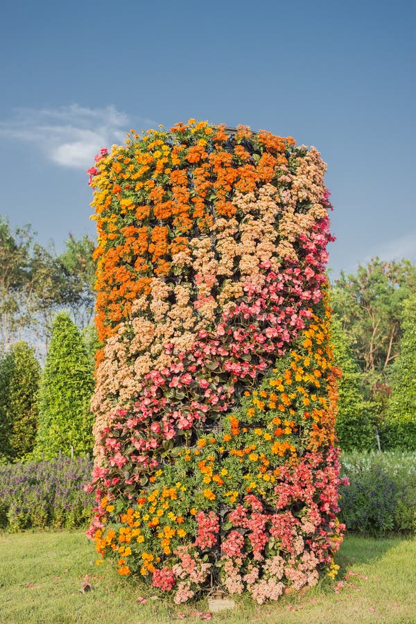 Beautiful tower flowers. stock photo. Image of nature - 49949030