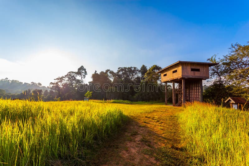 Landscapes stock photo. Image of environment, purity - 11141292