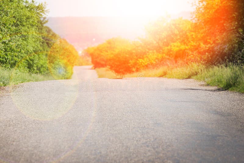 Beautiful Track on the Nature in the Summer Park Stock Photo - Image of ...