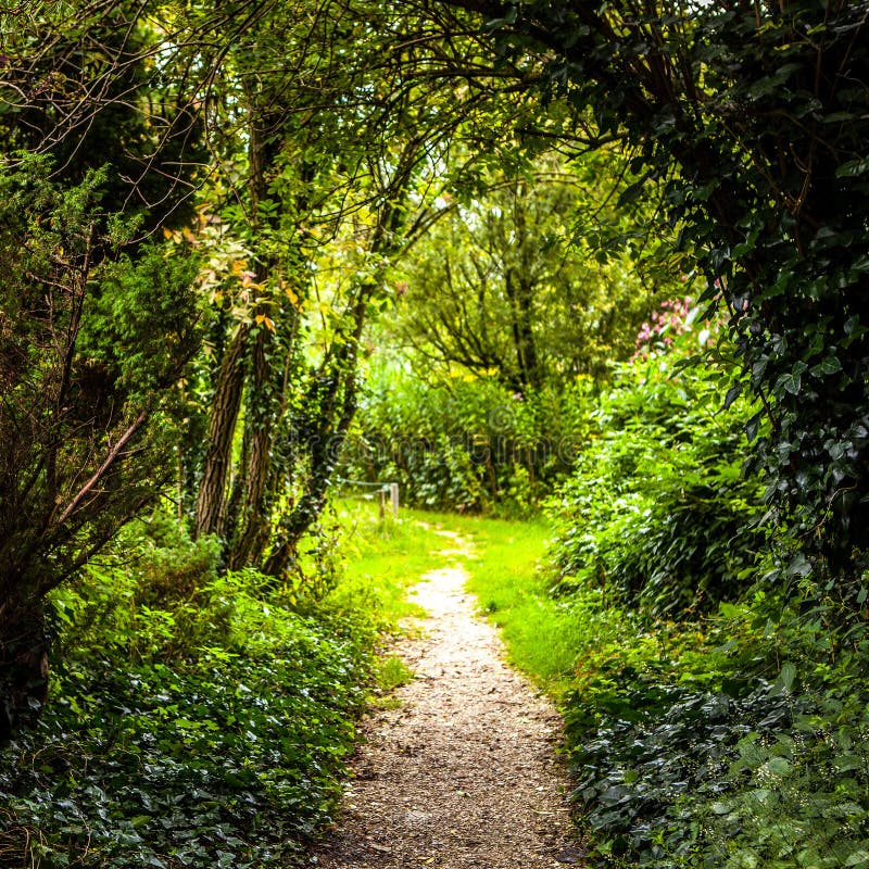 Beautiful Traditional Dutch Landscape and Nature Stock Image - Image of ...