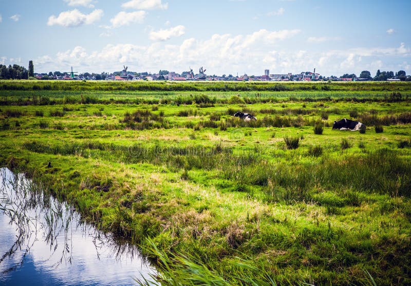 Beautiful Traditional Dutch Landscape and Nature Stock Image - Image of ...