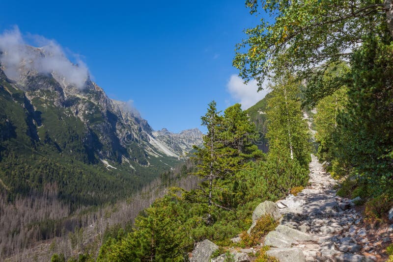 Beautiful Trail in the Tatra Mountains Stock Photo - Image of bridge ...