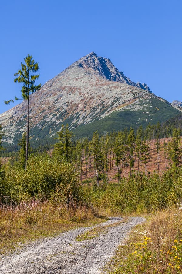 Beautiful Trail in the Tatra Mountains Stock Photo - Image of bridge ...
