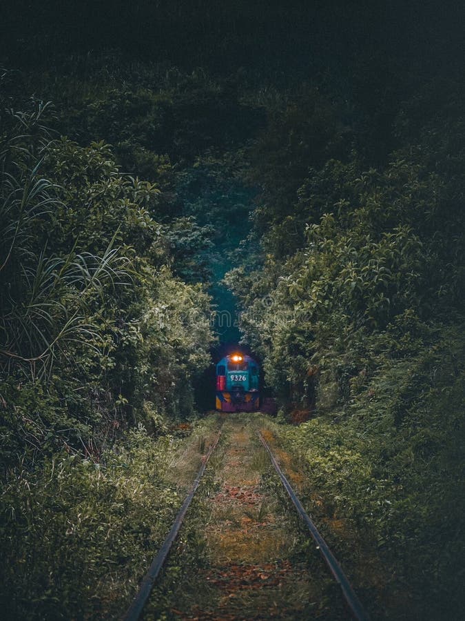 A beautiful train shot stock photo. Image of beautiful - 275950922