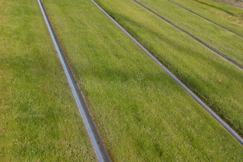 Beautiful Tram Rails Green Grass Way Stock Photo - Image of botany ...