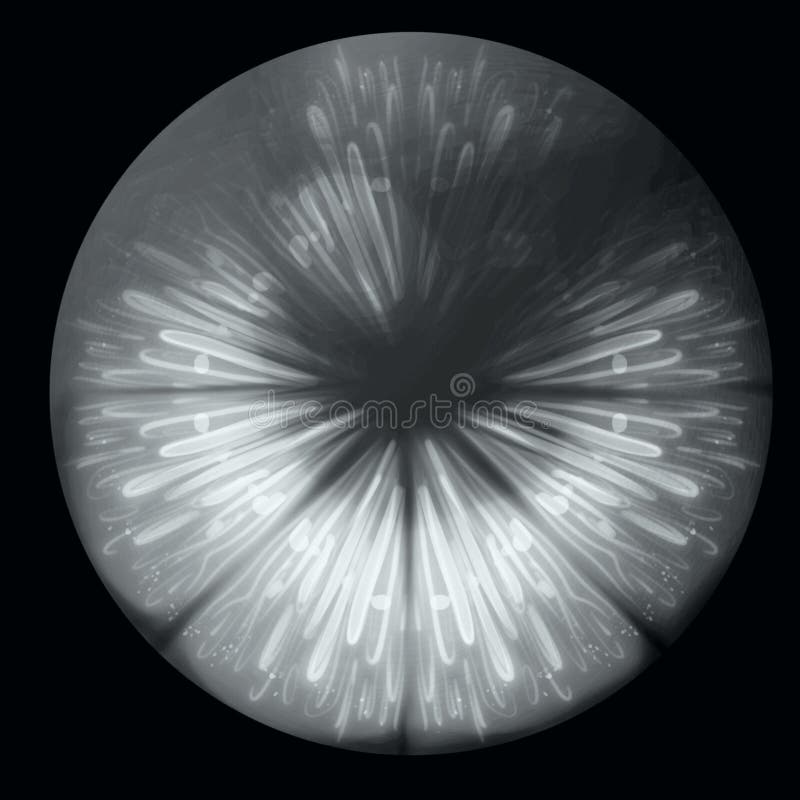 Beautiful Translucent and White Balloon with Texture Light and Delicate ...