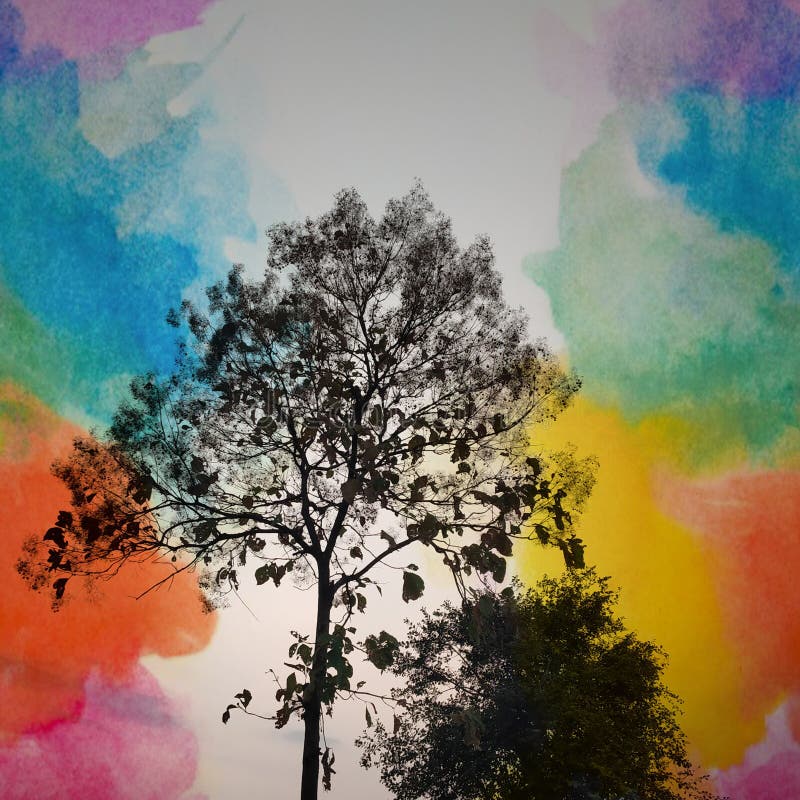 Beautiful Tree Art . Colours Stock Photo - Image of combinations ...