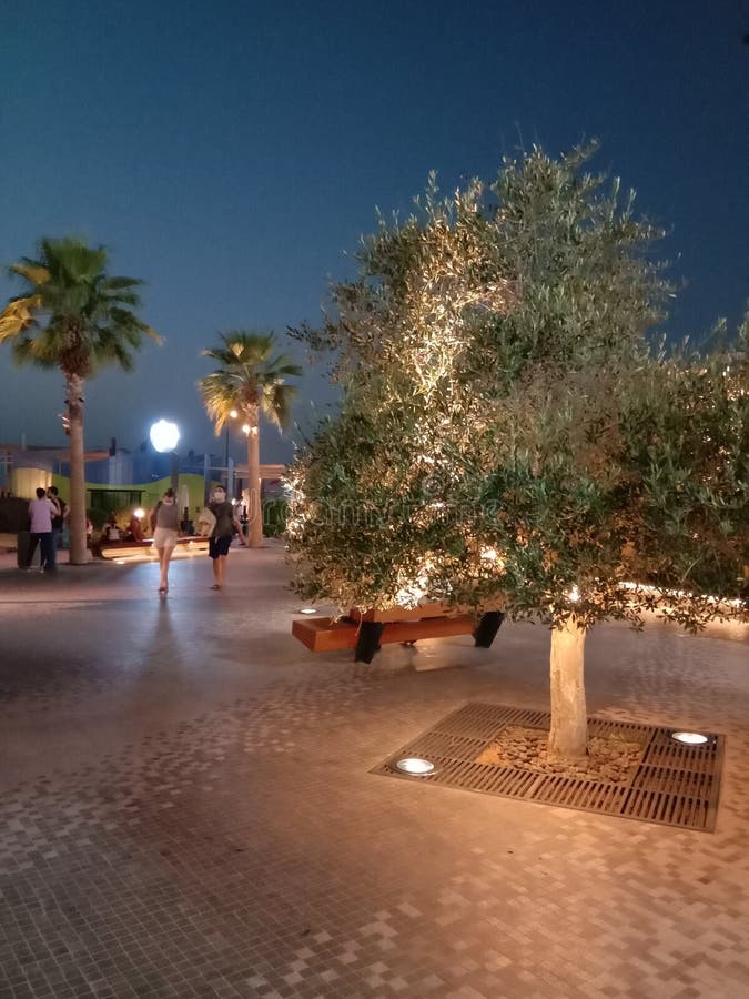Beautiful Tree in Dubai Uae Editorial Photography - Image of lighting ...