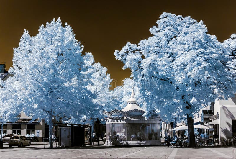 Beautiful Tree in Infrared View, Nonreal Colors, Sunny Day Stock Photo ...