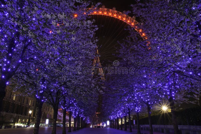 Beautiful Tree Lighting and London Eye. Editorial Image - Image of ...