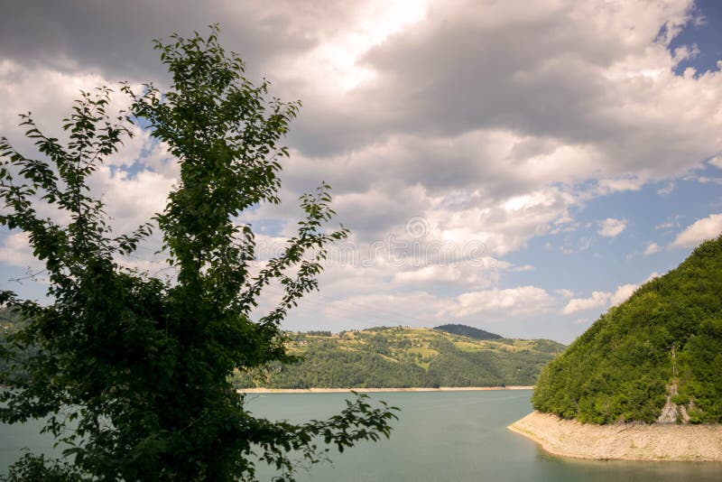 Beautiful Tree stock image. Image of rural, river, season - 144574705