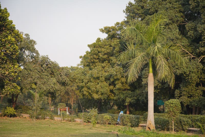 Czech Public Hd Nopho Stock Photos - Free & Royalty-Free Stock Photos ...