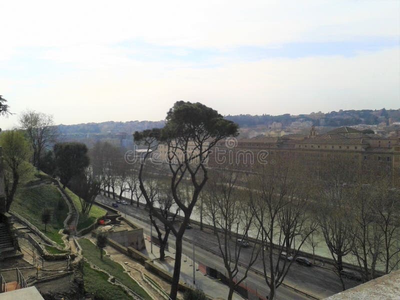 Beautiful Tree in Rome, Italy Stock Photo - Image of landmark, holiday ...
