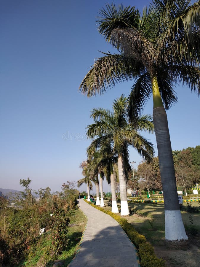 Garger Stock Photos - Free & Royalty-Free Stock Photos from Dreamstime