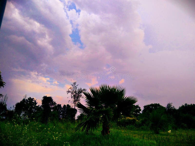 Beautiful Tree and Stunning Sky Stock Photo - Image of natural ...