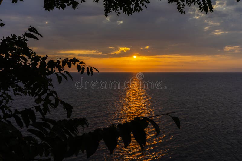 Beautiful Tree at Sunset on the Coast Stock Photo - Image of coast ...