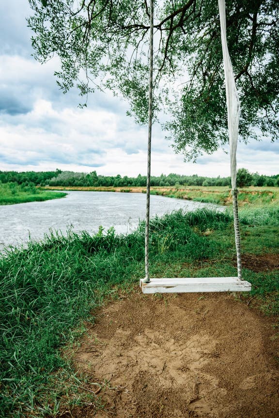 Beautiful Tree with Swings by the River. Stock Photo - Image of nature ...