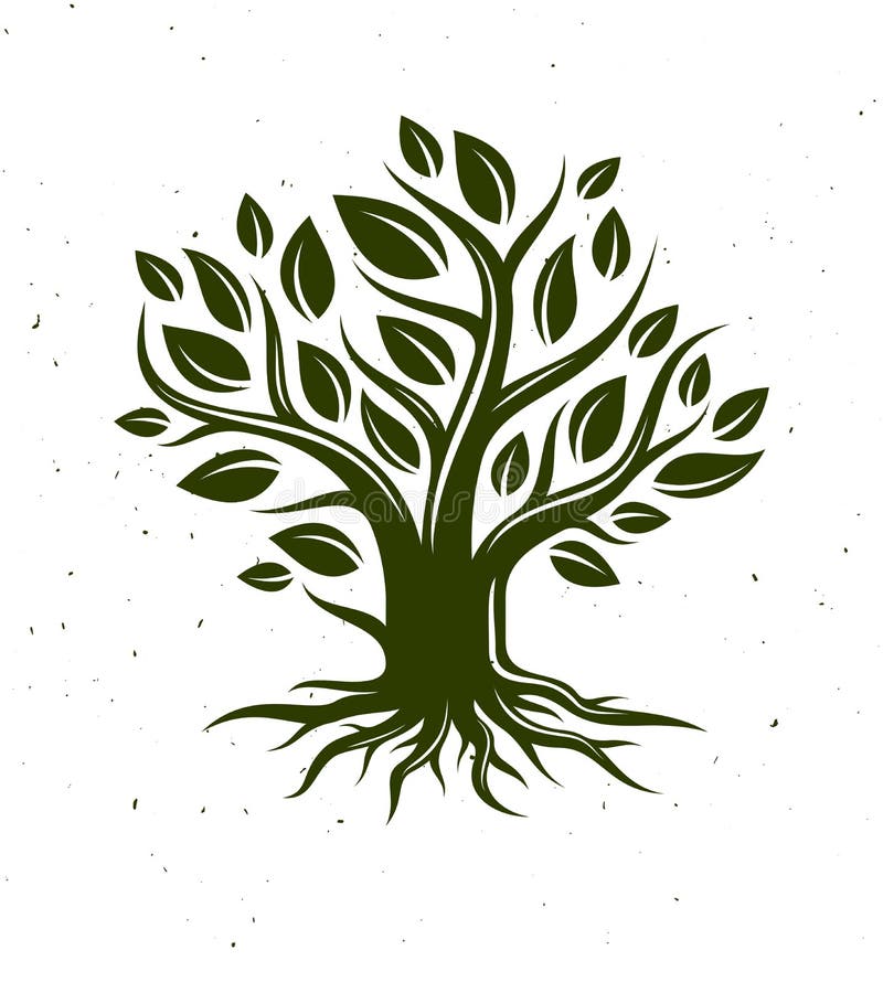 Beautiful Tree Vector Classic Style Drawing Logo or Icon. Stock Vector ...