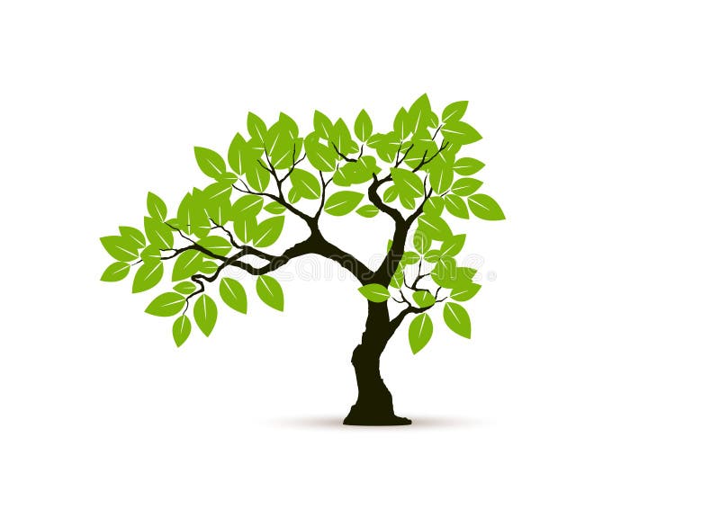 Beautiful Tree Vector on a White Background. Stock Vector ...