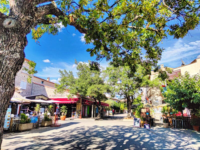 Beautiful tree in village editorial stock image. Image of vacation ...