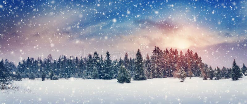 Beautiful Tree in Winter Landscape in Late Evening Stock Photo - Image ...