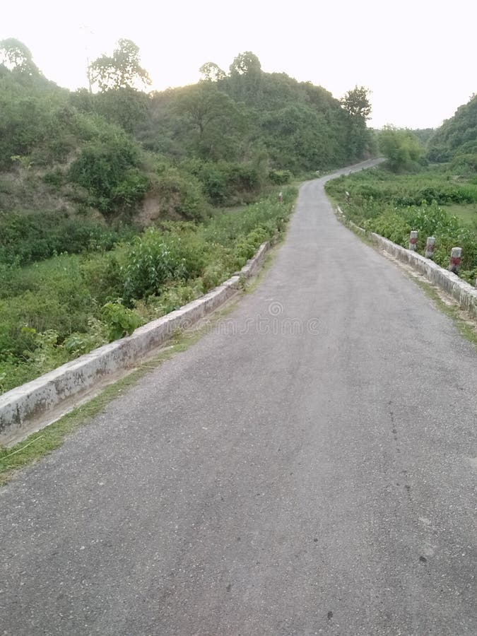 Beautiful Trees Along the Beautiful Highway Road Stock Photo - Image of ...
